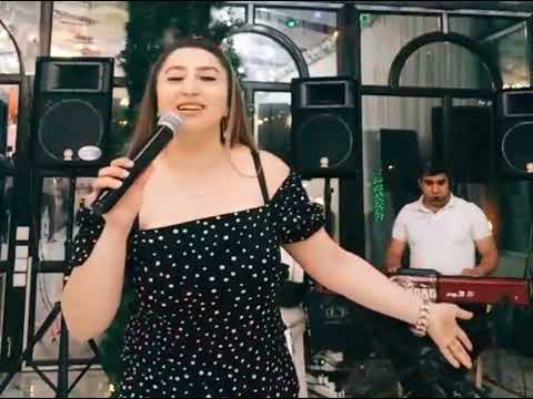 Melek Muradli Haminin Sevdiyi İfa 2024