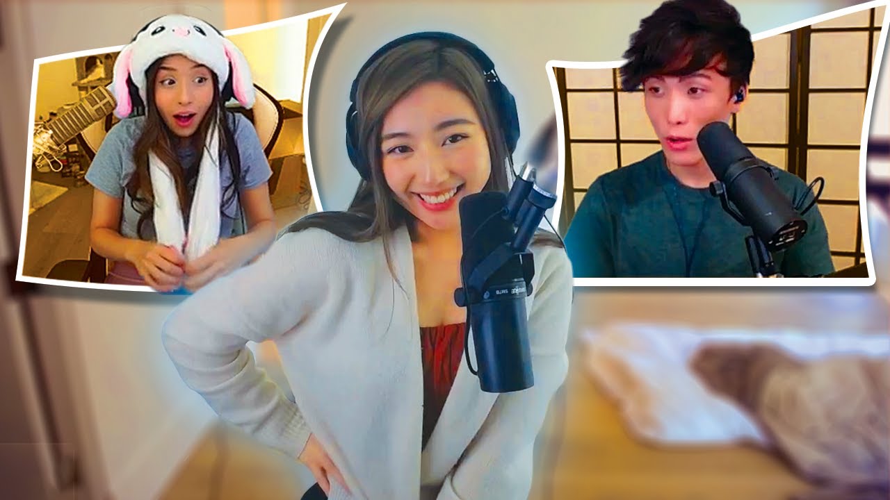 Sykkuno makes a girl happy | Poki gets shocked | DisguisedToast avenges ...