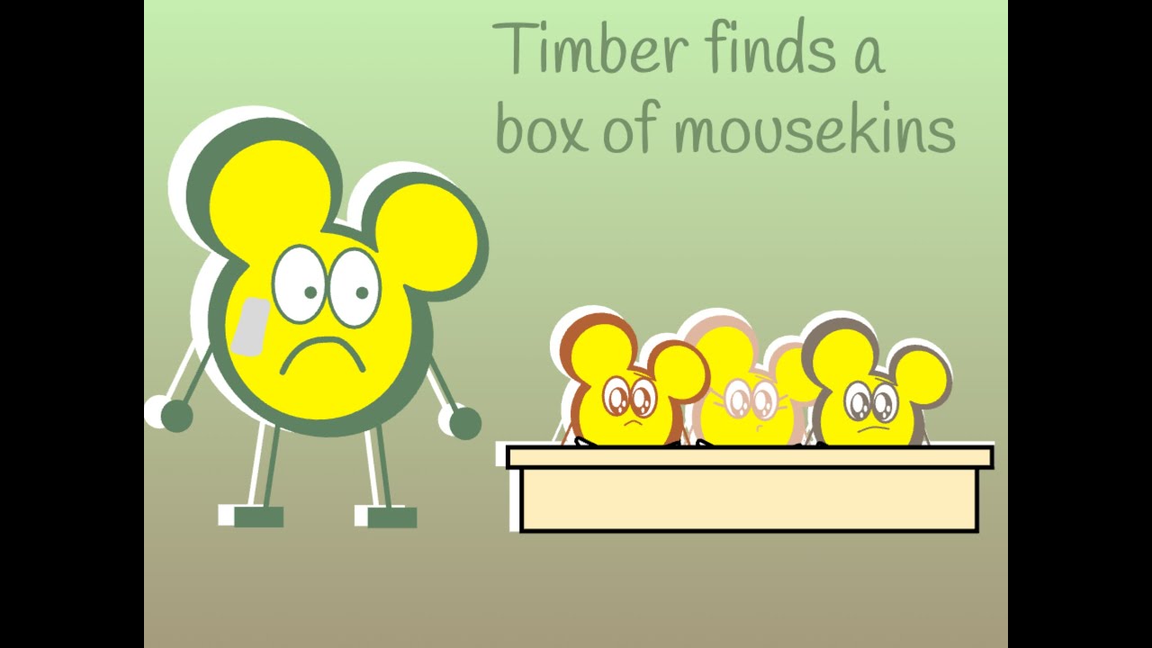 Timber finds a box of mousekins - YouTube