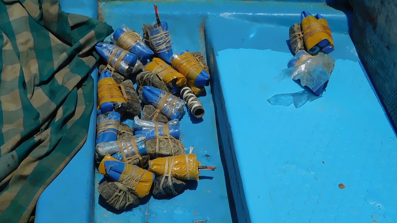 Navy apprehends ‍four persons for fishing with explosive - YouTube