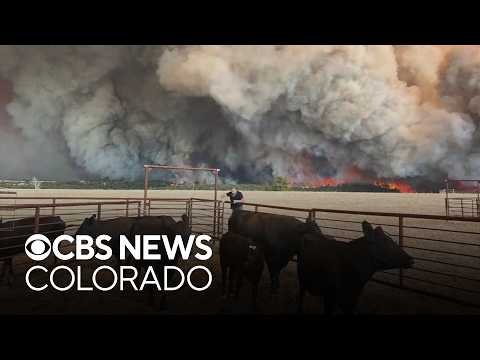 Colorado ranchers rush to save livestock as Aspen Acres Fire pushes south