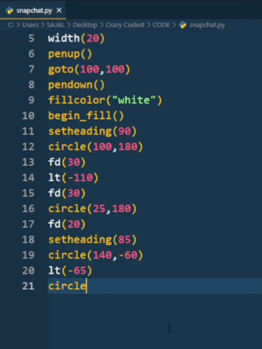 Drawing Snapchat Logo🔥using Python 😍👩‍💻 Coding Programmerlife Python Cse Shorts Hacking