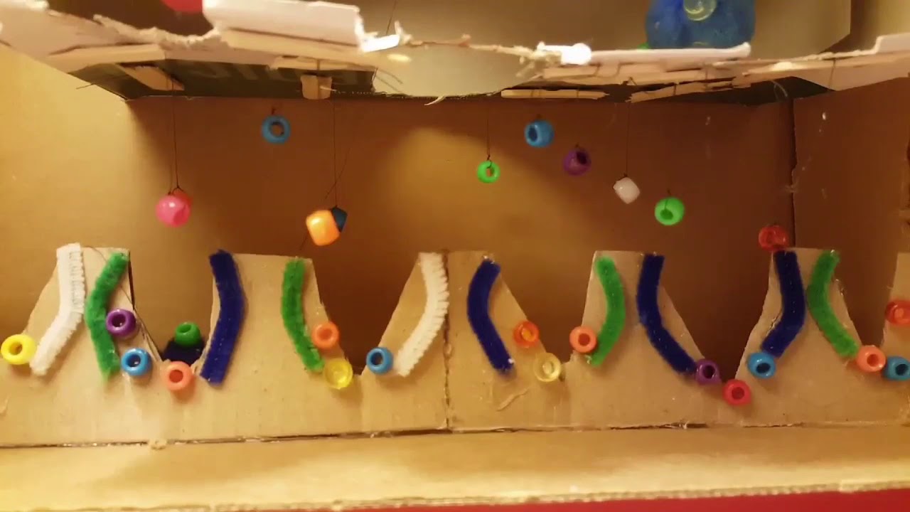 Pau Lian 4.2.5 biomed project The Sarcoplasmic Reticulum - YouTube