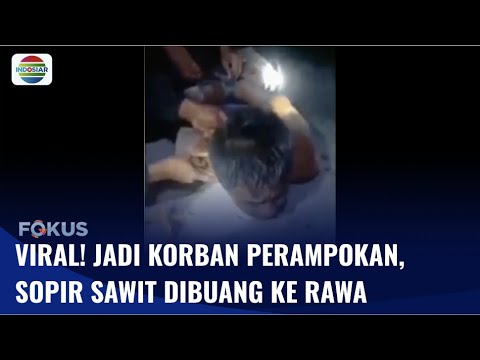 Viral Rekaman Sopir Truk Sawit Diikat dan Dibuang ke Rawa, Diduga Jadi Korban Perampokan | Fokus
