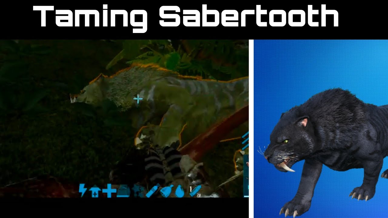 Taming Sabertooth in Ark:survival evolved °Ninu Gaming° - YouTube