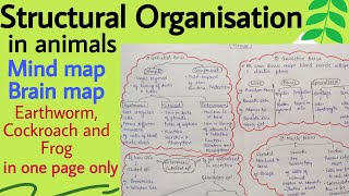 Mind map Structural Organisation in Animals Brain map B... | Doovi