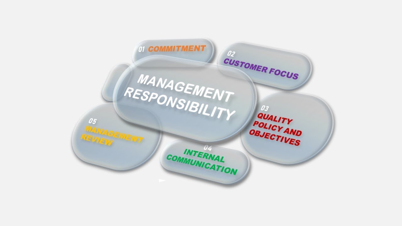 Management Responsibility in Quality Management System - YouTube