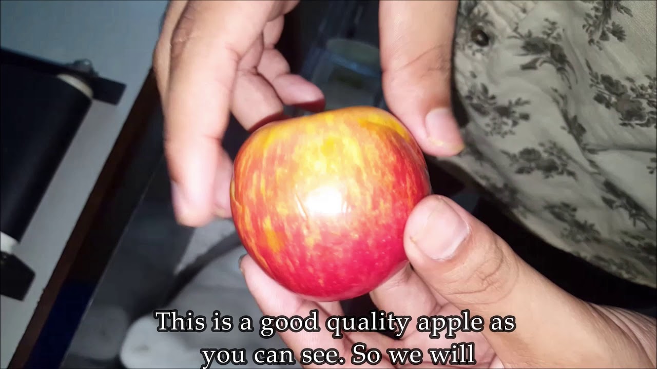 NON-DESTRUCTIVE AUTOMATIC FRUIT DETECTION/SEPARATION TECHNOLOGY - YouTube