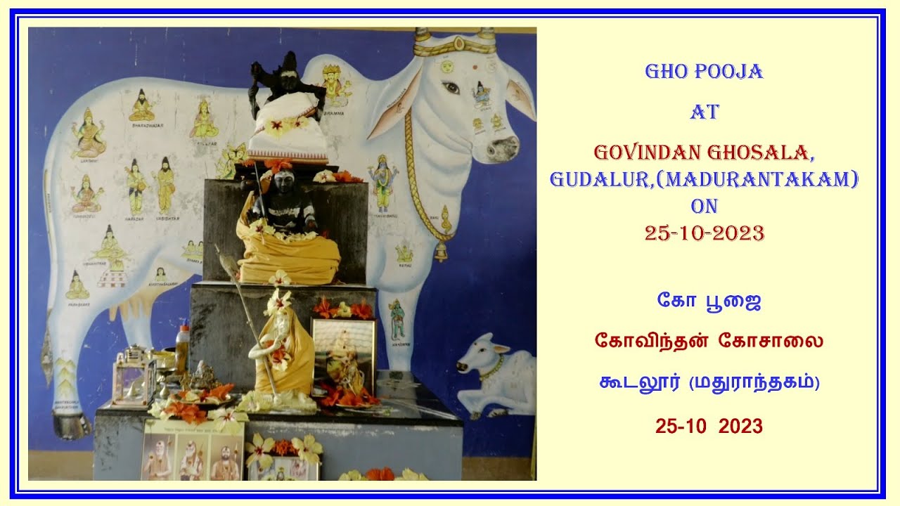 Ghosalai & GO POOJA GOVINDAN GHOSALA, GUDALUR,(MADURANTAKAM) Tamil Nadu ...
