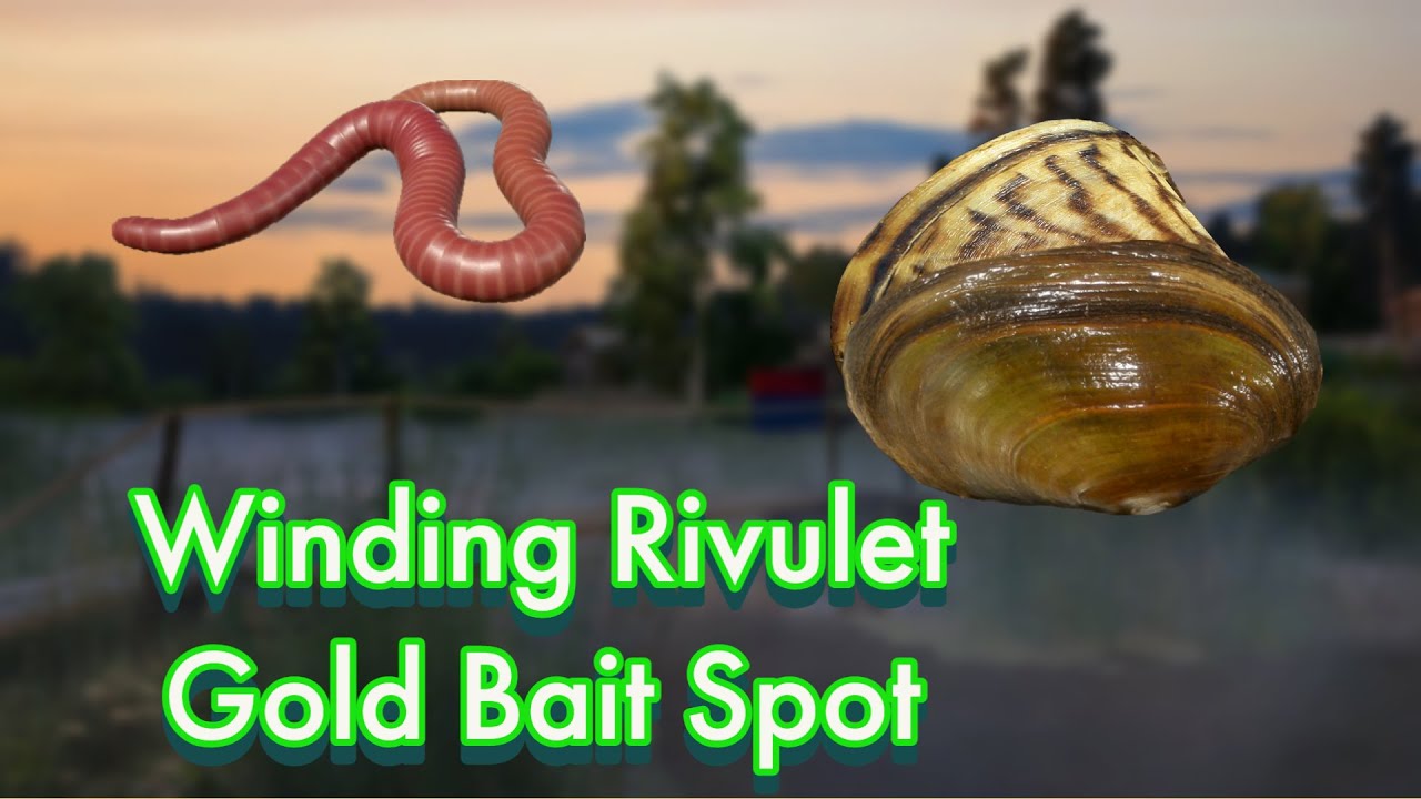 Russian Fishing 4 | Winding Rivulet Gold Bait Spot - YouTube