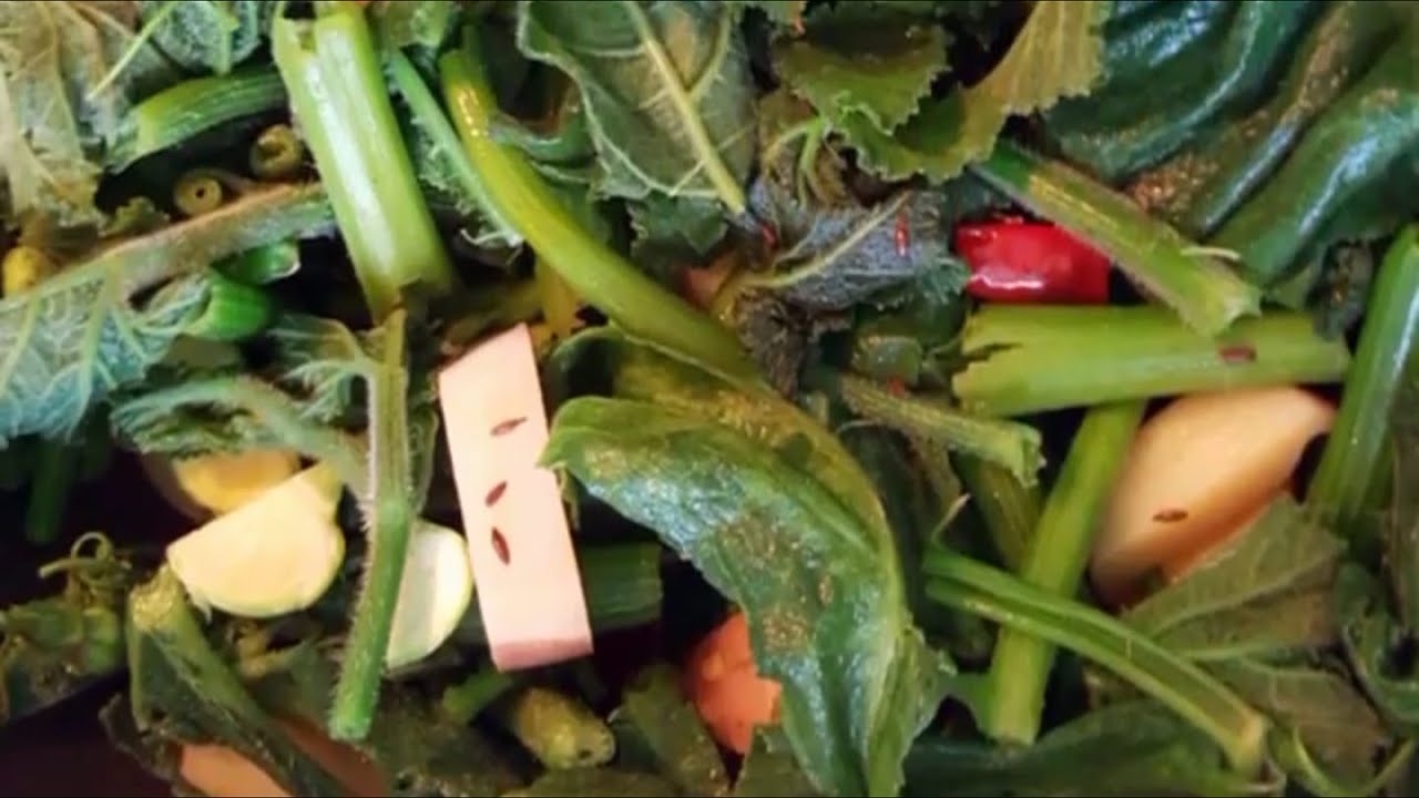 फॅसीको मुन्टा, Tips when cooking "Pumpkin Leaves" (Farsi Ko Munta ...