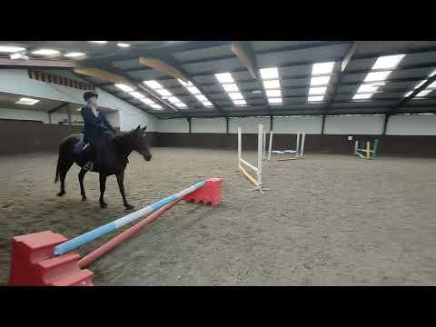 170177 60cm Show Jumping - YouTube