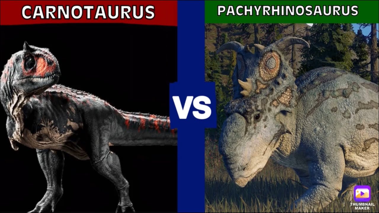 Carnotaurus Vs Pachyrhinosaurus Carnivore Dinosaurs Vs Herbivore