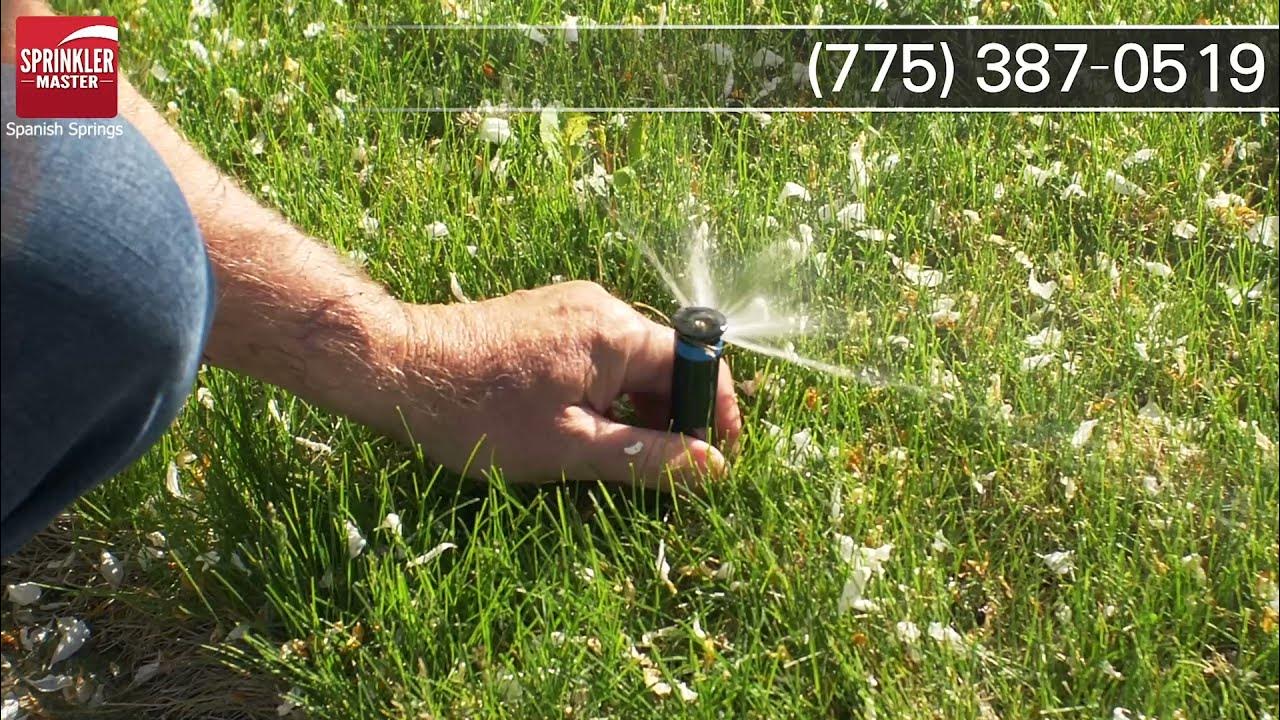 Spanish Springs YouTube spanish-springs-youtube