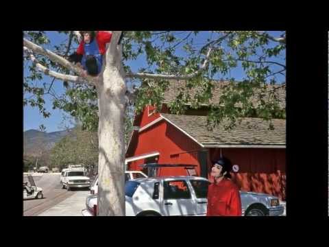 Michael Jackson an animal lover Living with Bubbles