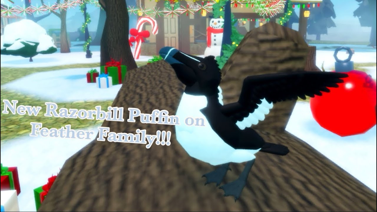 NEW Razorbill Puffin on Feather Family!!! (CHRISTMAS MAP!!!) | #Roblox ...