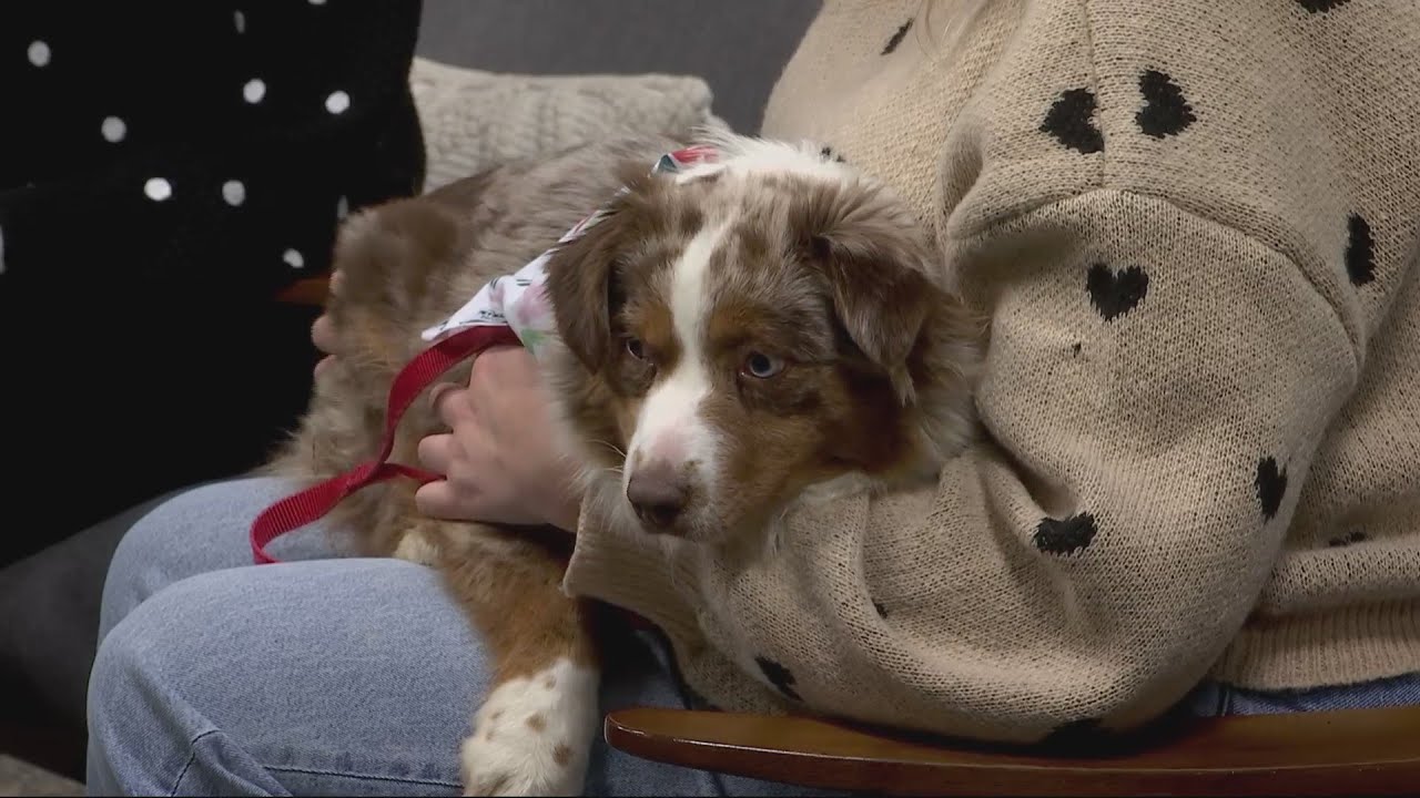 CI Living Ruby's Rescue - YouTube