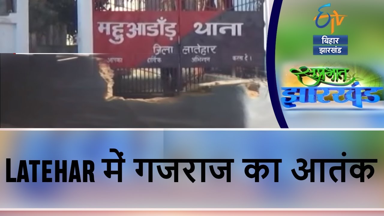 Latehar में गजराज का आतंक | Suprabhat Jharkhand | ETV Bihar Jharkhand ...