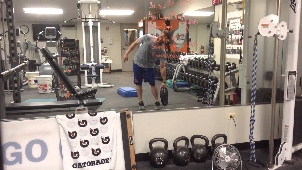 Standing Hip Hinge Oblique Crunch with Plate - YouTube