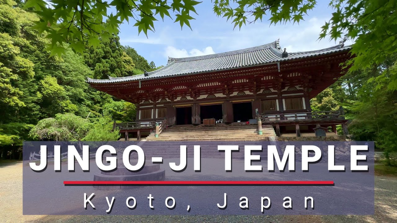 Exploring the Mystical Jingo-ji Temple in Kyoto, Japan [No Commentary ...