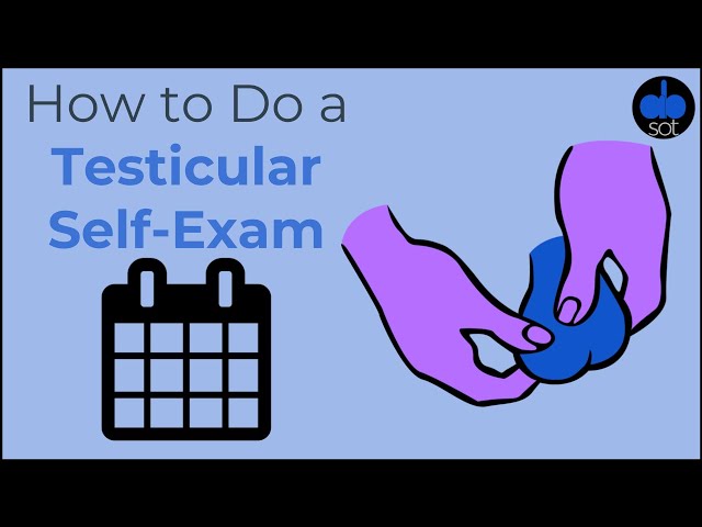 Testicular Self Exam Steps