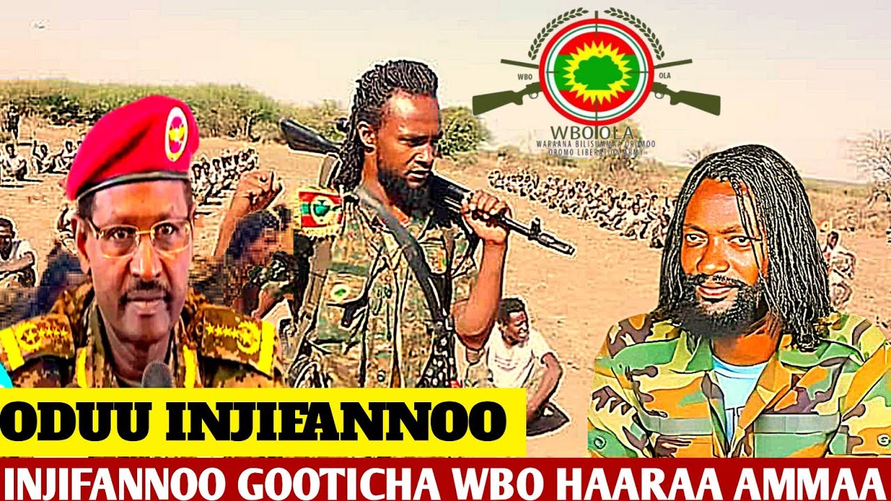 ODUU Hatattamaa haaraa addaa ijoo amma nu dhaqqabde @Ifaalammii - YouTube