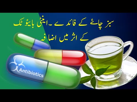 Green tea enhance antibiotic effects - YouTube