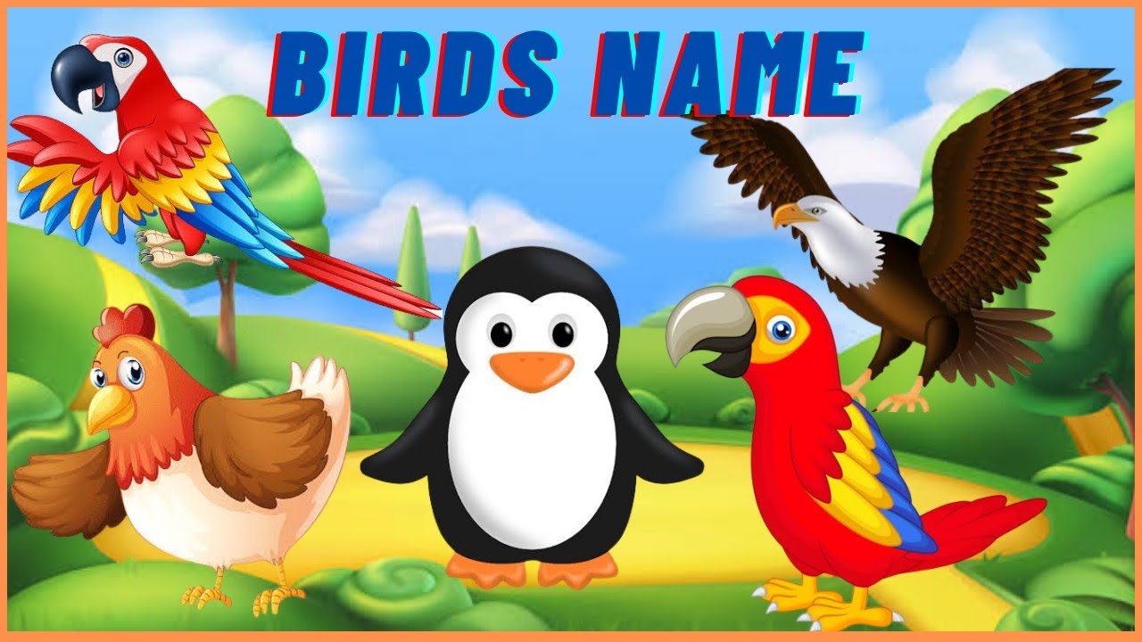 Learn The Birds Name with Pictures | Birds Name For Kids |Learn Bird ...