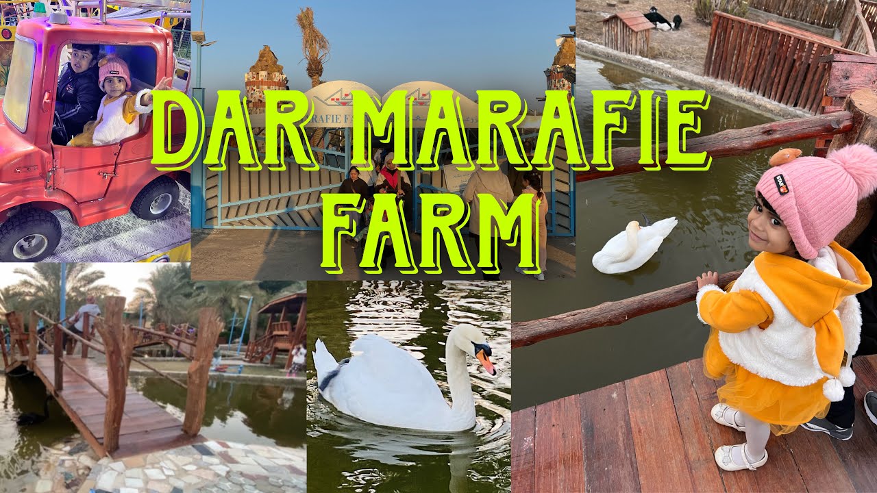 DAR MARAFIE FARM || WAFRA || KUWAIT - YouTube