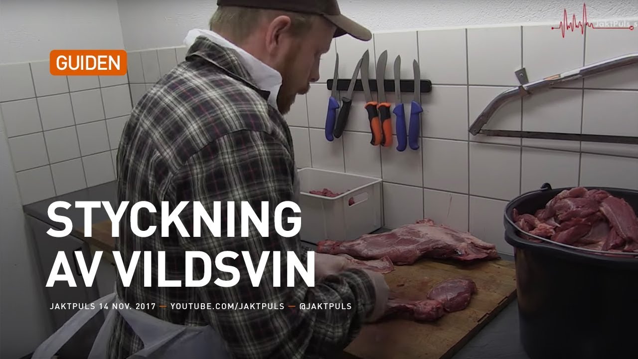 Styckning av vildsvin - YouTube
