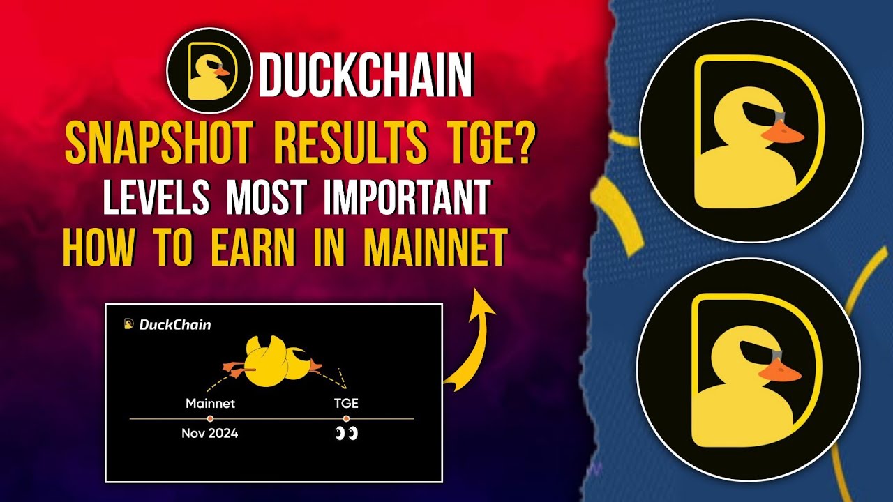DUCKCHAIN Snapshot Results | Levels Very Important | Earning in Mainnet ...