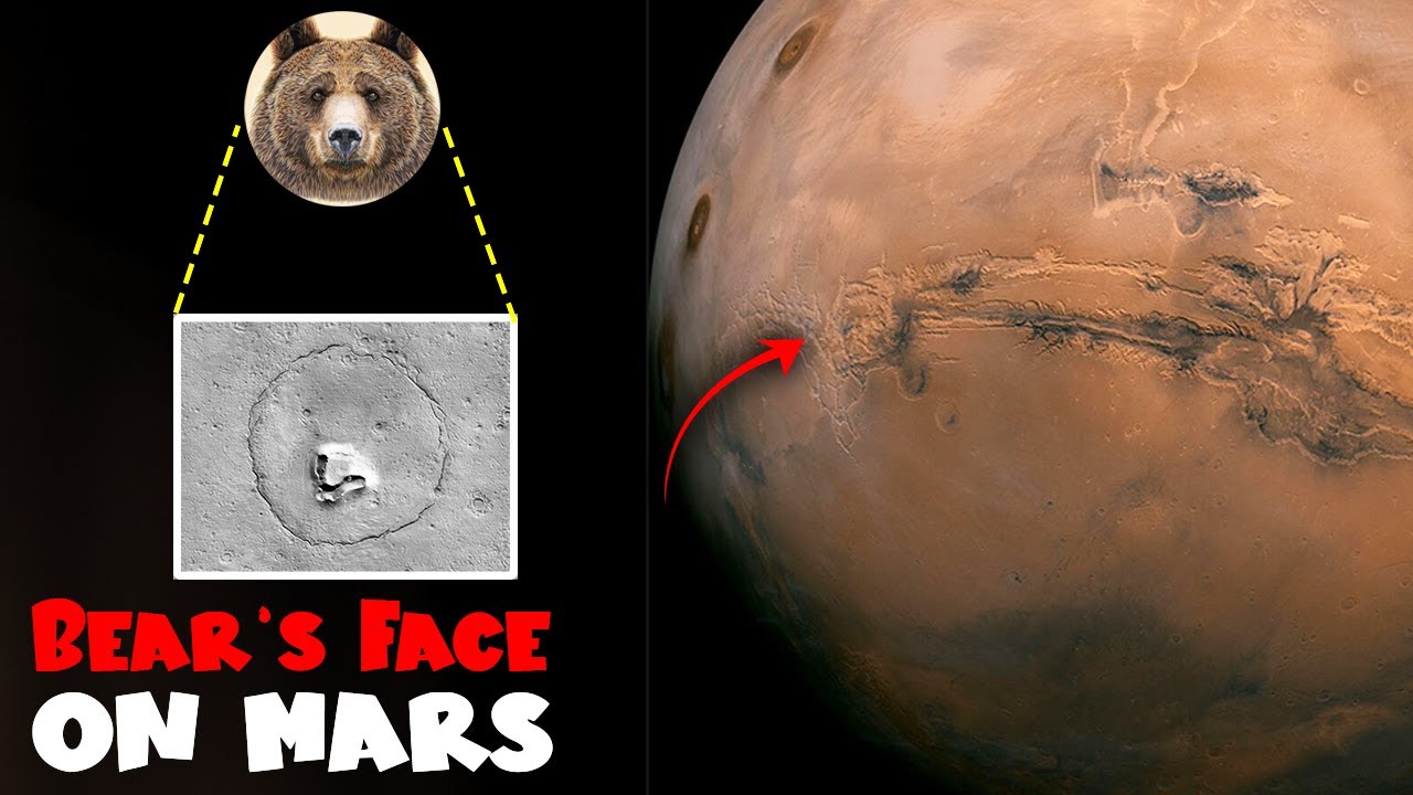 NASA’s Captures a Bear’s Face on Mars What Is It Really | Something ...
