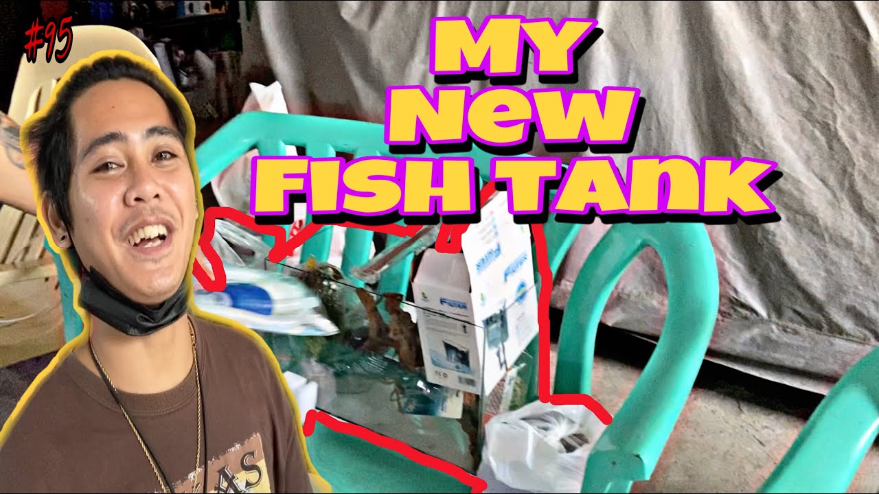 #95 buying my new fish tank - YouTube