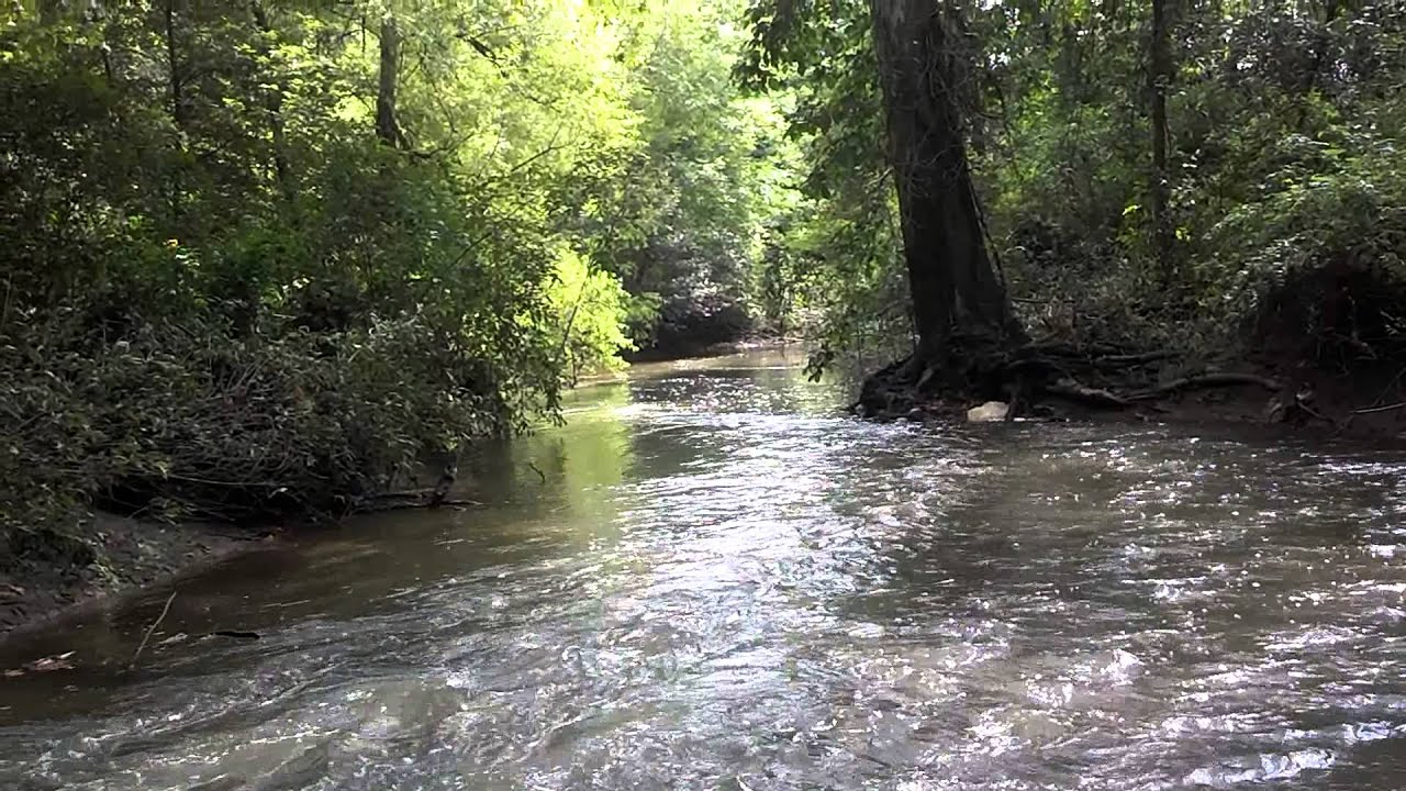 Sunday@Work, Ohio Gold Prospecting part 1 - YouTube