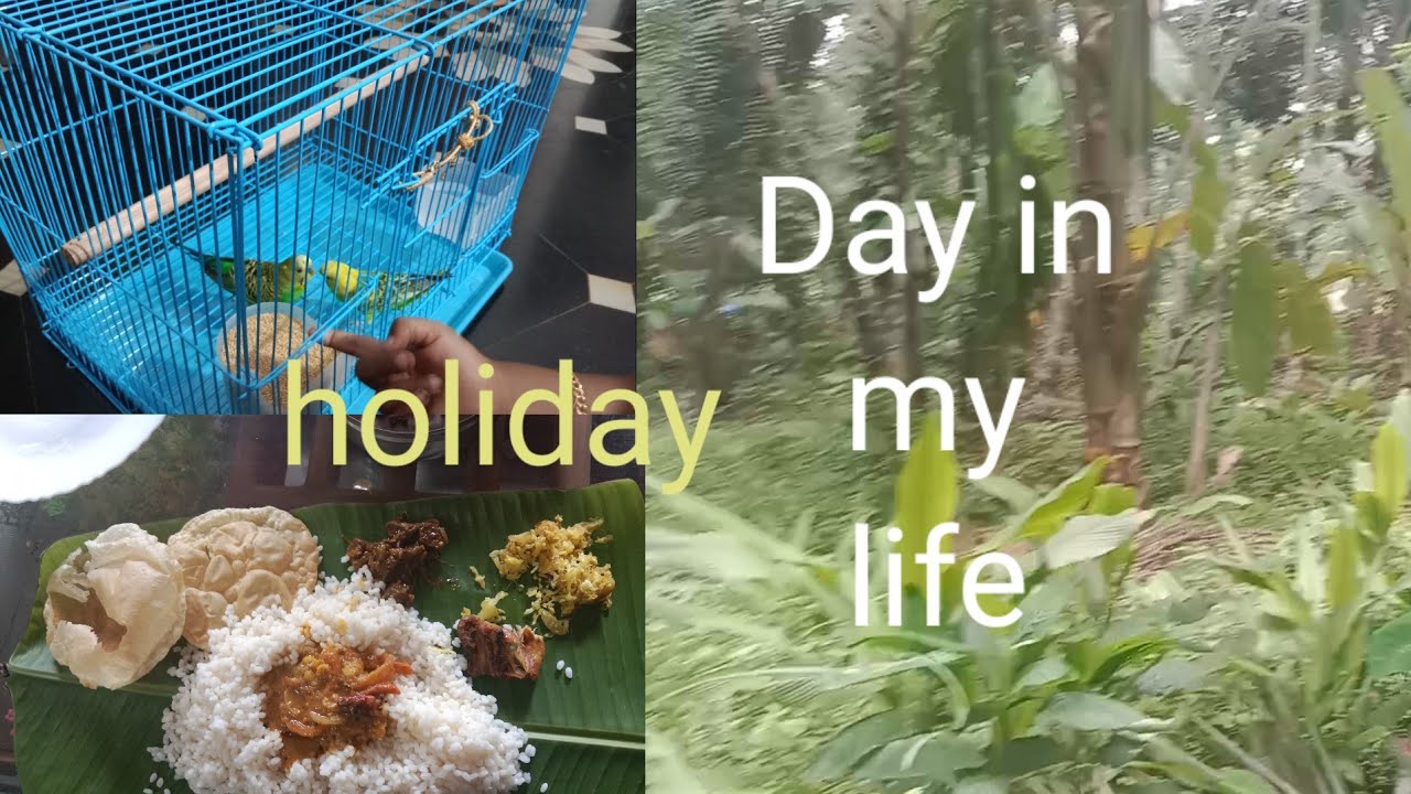 Day in my life||Holiday routine |ഒരു സാധാരണ അവധി ദിവസം - YouTube