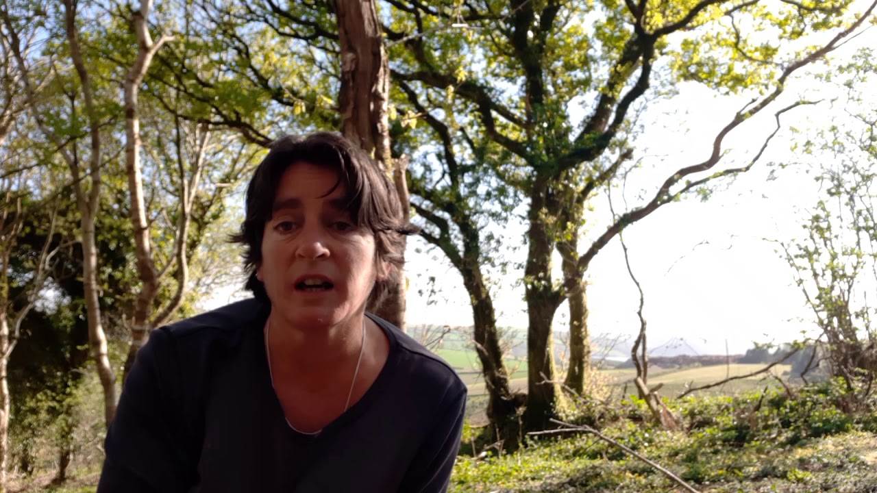 Quay Words Winter writer-in-residence Natasha Carthew introduces her ...