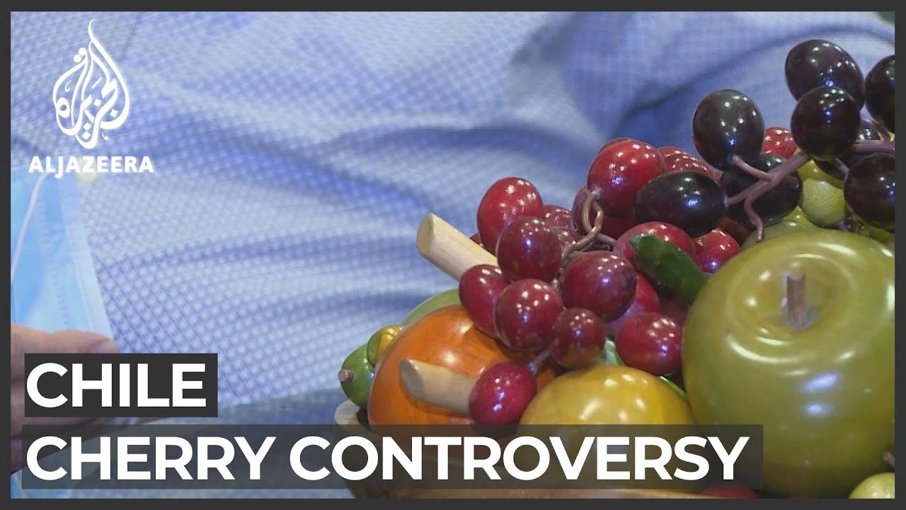 Cherry controversy: Chile's fruit growers impacted by 'rumour' - YouTube