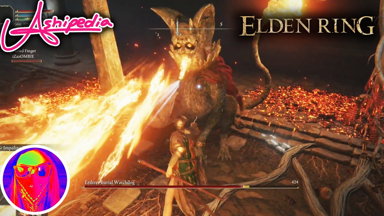 Elden Ring: Cat Fight - YouTube