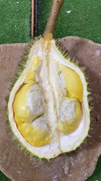 UNBOXING DURIAN BAWOR - YouTube