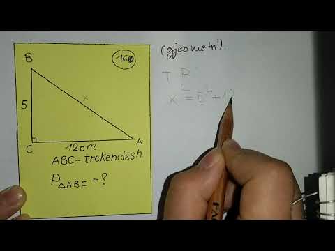 Njehso perimetrin e trekendeshit kendrejt ne figure. 161