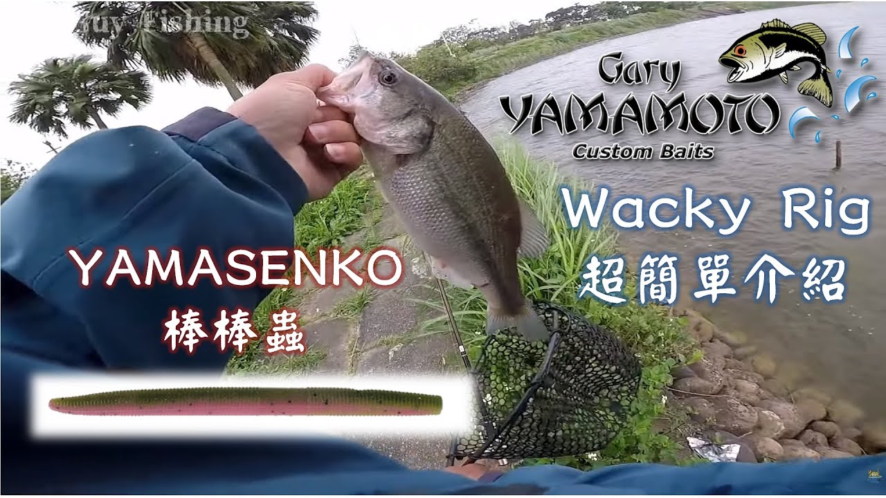 棒蟲歪奇超簡單介紹【Gary YAMAMOTO YAMASENKO】【路亞】【大嘴鱸魚】【歪奇】【Wacky Rig】 - YouTube