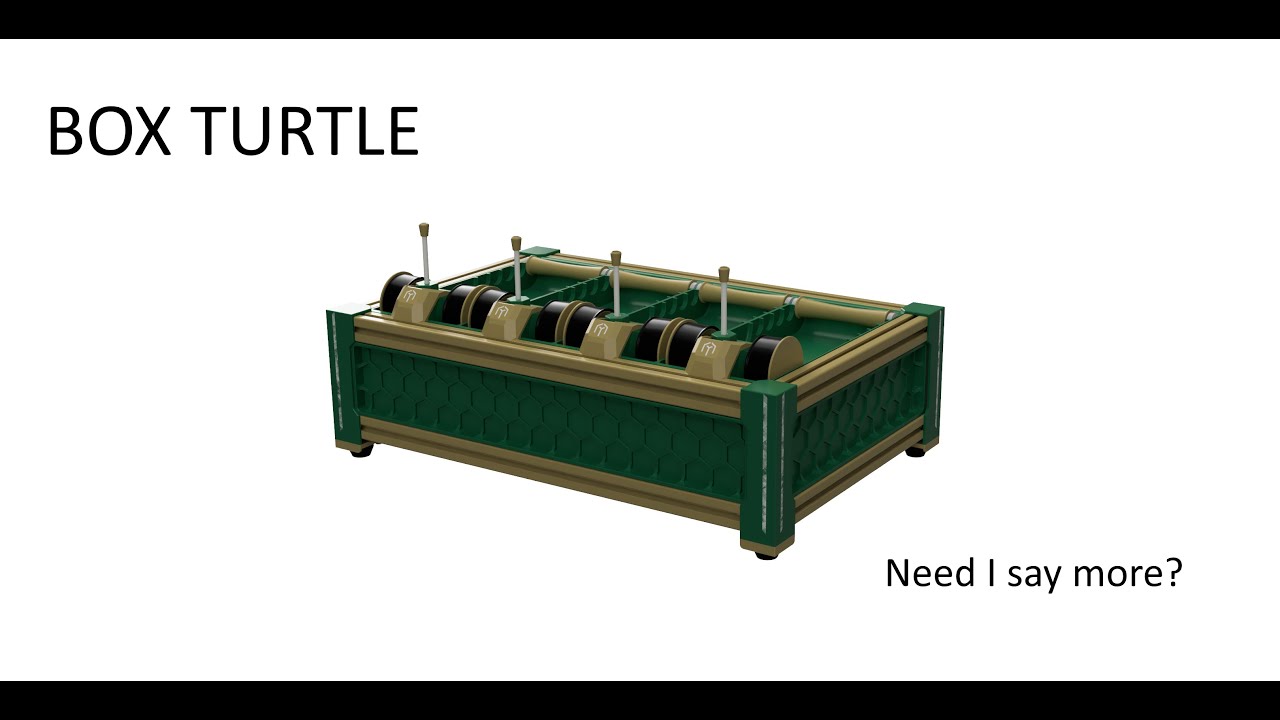 Box Turtle Part 1 - YouTube