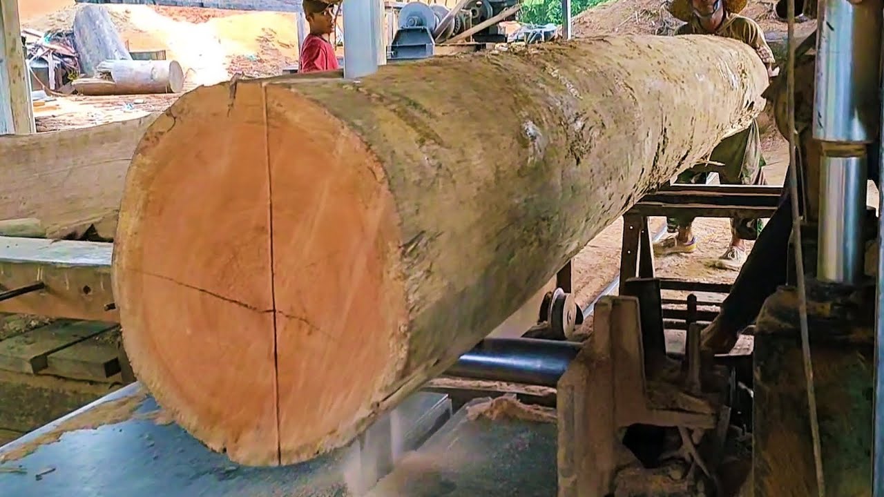 batang kayu Meranti lurus, di gergajji dengan gergaji pita// #bandsaw ...