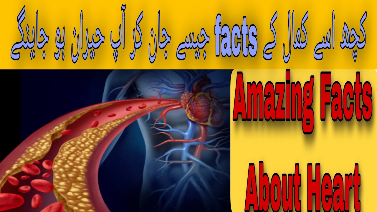 Most Amazing Top 10 Facts About Human Heart - YouTube