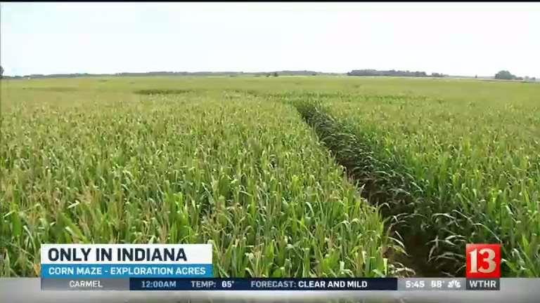 OII: Exploration Acres corn maze - YouTube