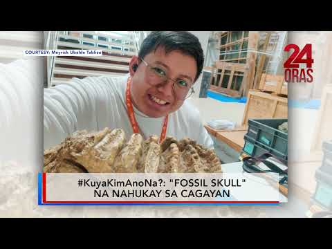 Bungo ng stegodon na kamag-anak ng modern-day elephant, natagpuan sa Cagayan | 24 Oras