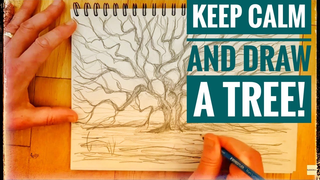 How to draw an old tree! - YouTube