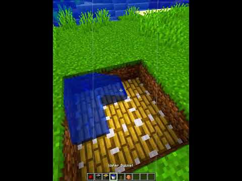 Minecraft Dancing Fish💀
