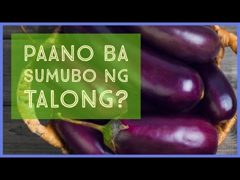 Paano sumubo ng daks nang buong buo gamit ang bibig lang (walang kamay, walang sabit sa ngipin)