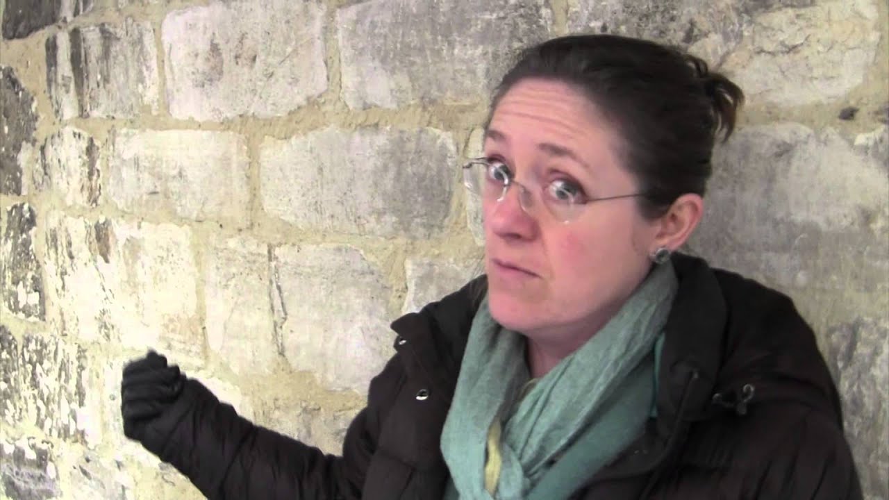 Cllr Sarah Lunnon - Debate re the incinerator motion 2 of 4 - YouTube